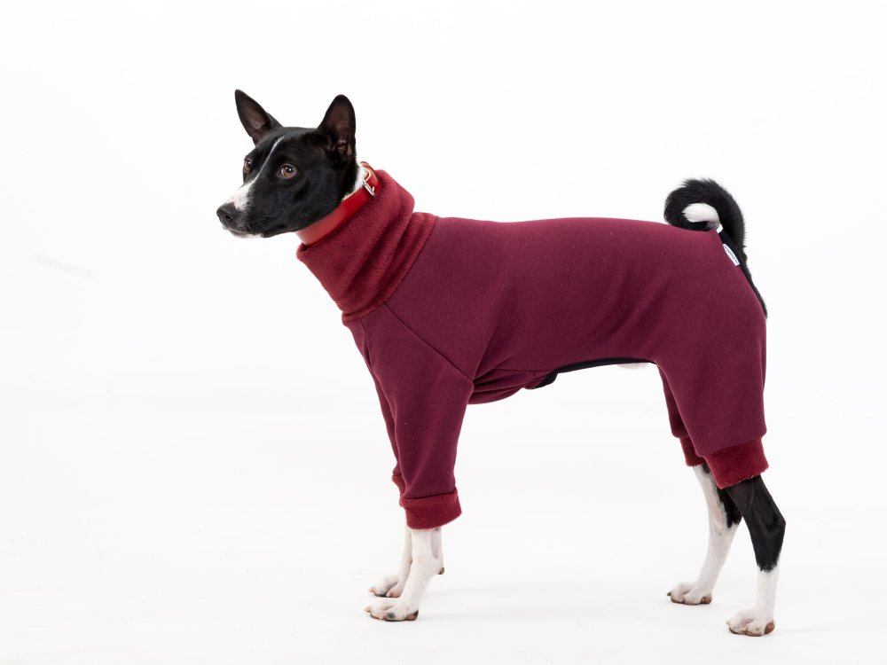 "Discover a warm and comfortable dog overall, ideal for a basenji, pug ...