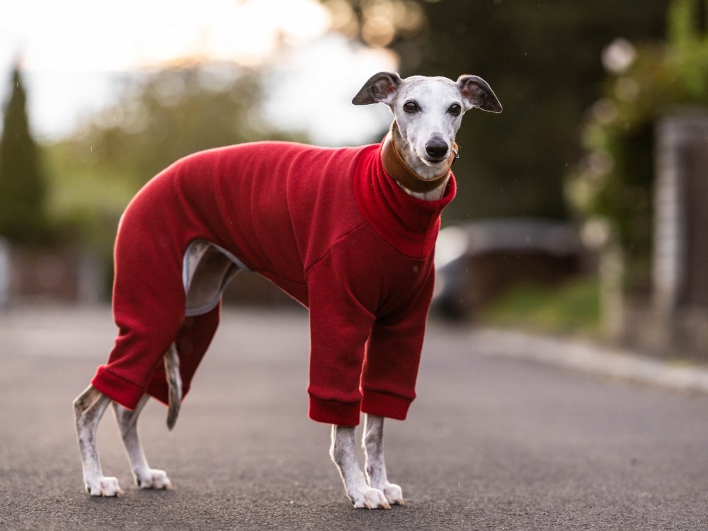 Overal pro psy dlouhý, Warmkeeper, počesaná teplákovina svetr pro psa s ...