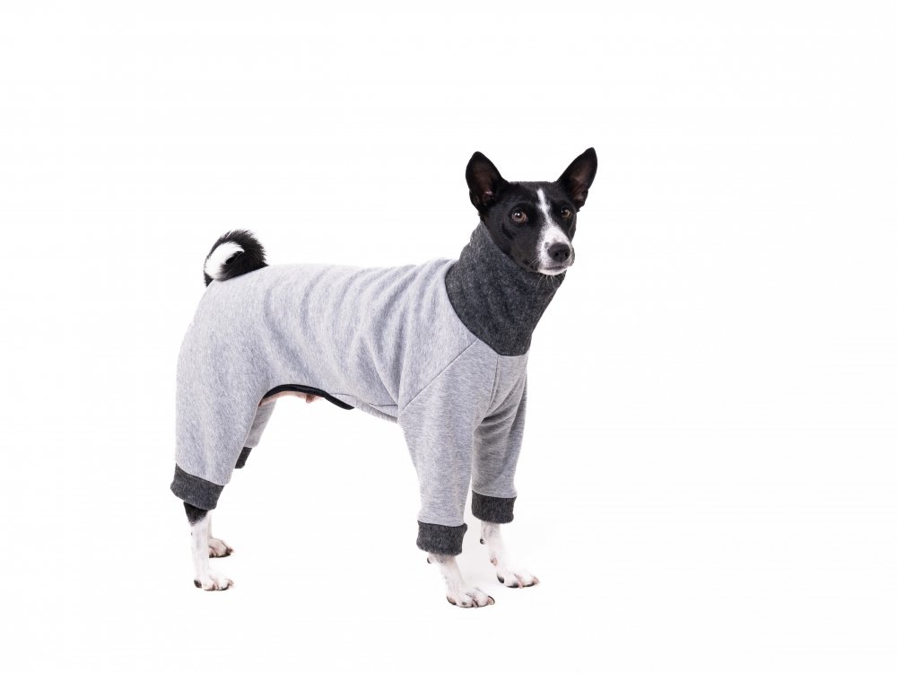 "Objevte teplý a pohodlný overal pro psa, ideální pro basenji, mopsa ...