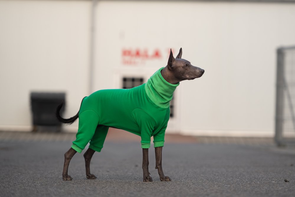 Warmkeeper overal pre naháče – dlhý hrejivý overal pre psov bez srsti ...